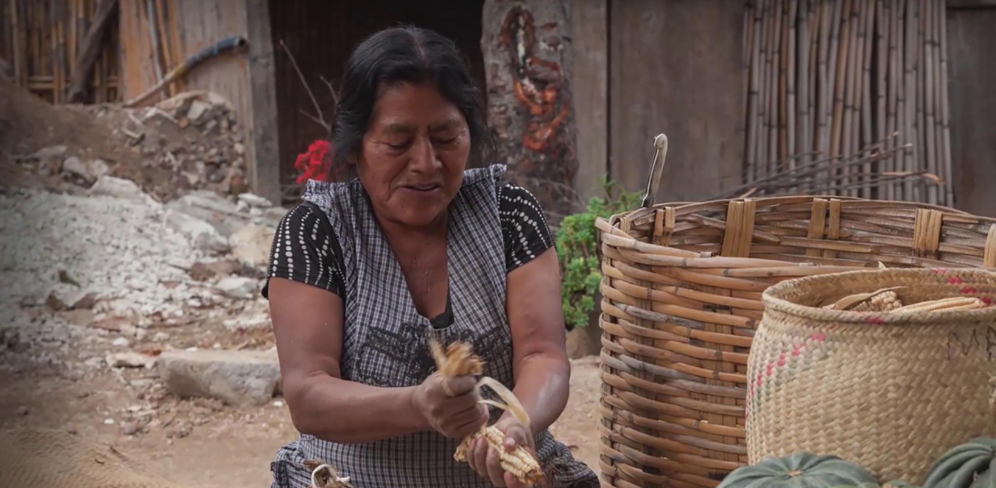 actividades-principales_oaxaca_pluma-hidalgo_que-te-cuenten-una-leyenda ...