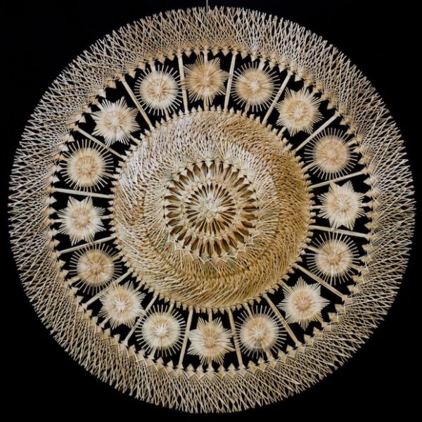 Curicaueri Sol Purépecha - Teterete Arte Colectivo de México